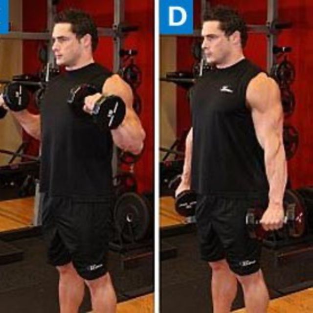 Zottman Curls By Nakeia B Exercise How To Skimble