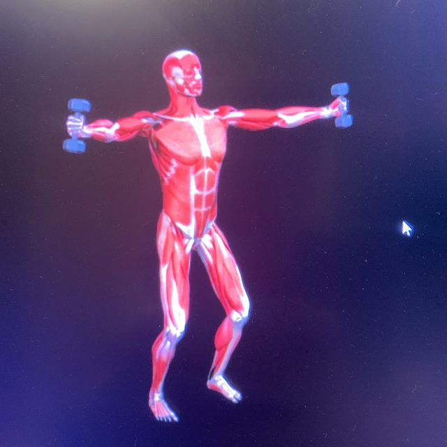 Dumbbell Iron Cross by Ted Smith - Exercise How-to - Skimble