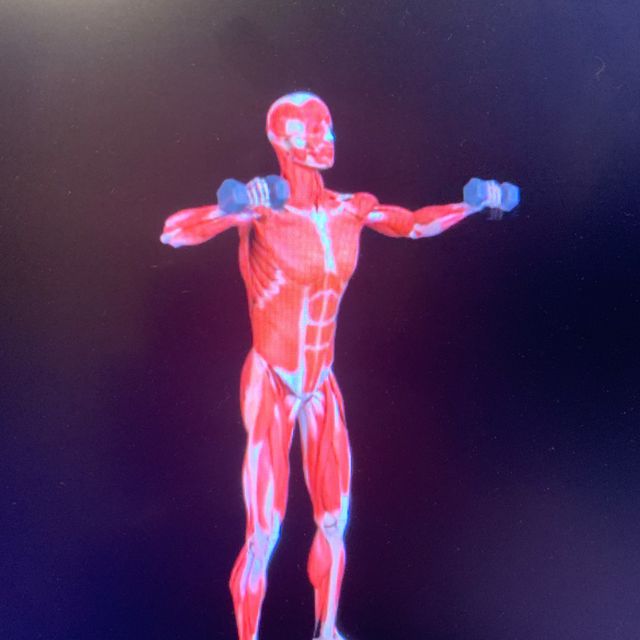 Dumbbell Scarecrow by Ted Smith - Exercise How-to - Skimble