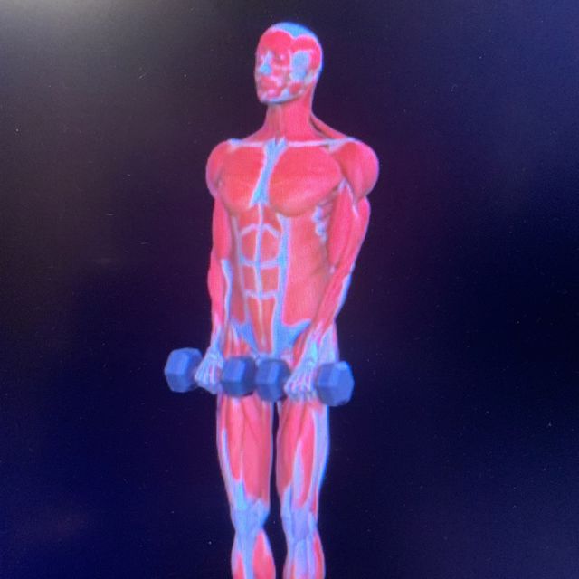 Upright Row by Ted Smith - Exercise How-to - Skimble