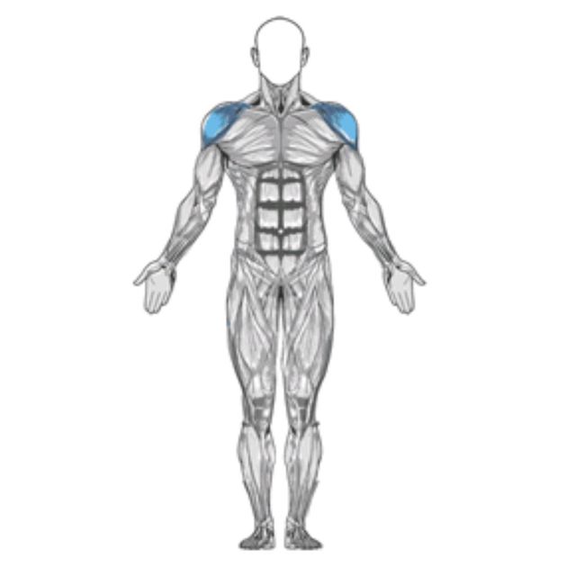 Cable External Rotation by Myint H. - Exercise How-to - Skimble