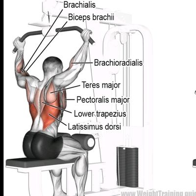 Parallel Bar Crunch by Leila Norouzi - Exercise How-to - Skimble