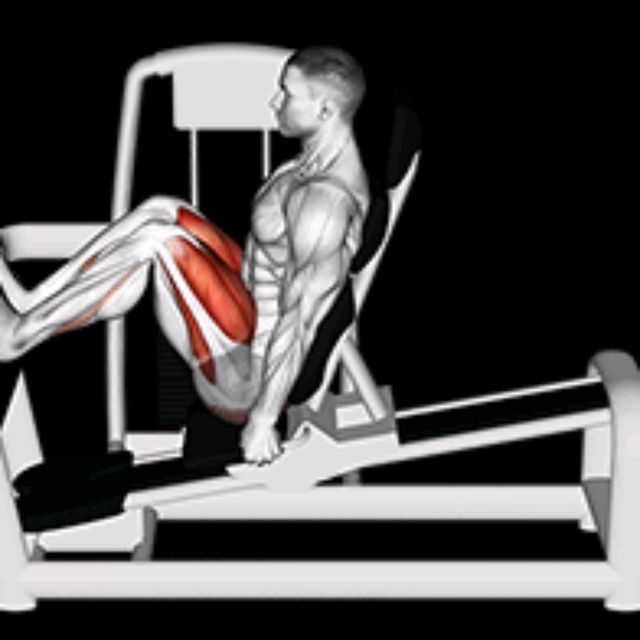 Legs Press by Leila Norouzi - Exercise How-to - Skimble