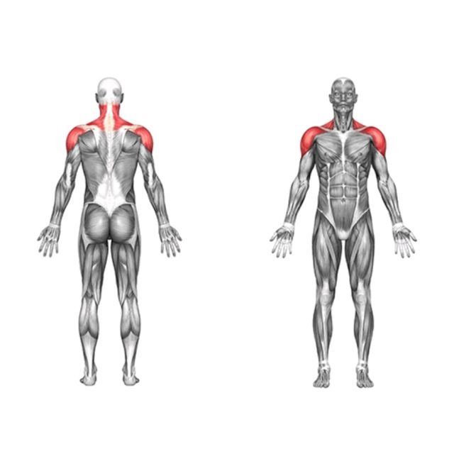 Alzate Laterali by Alberto Mustacchi - Exercise How-to - Skimble
