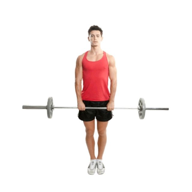 Upright Rows. by Alberto Mustacchi - Exercise How-to - Skimble