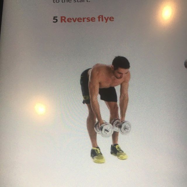Reverse Fly by Peter D. - Exercise How-to - Skimble
