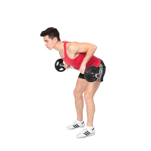 Bent Over Row. by Alberto Mustacchi - Exercise How-to - Skimble