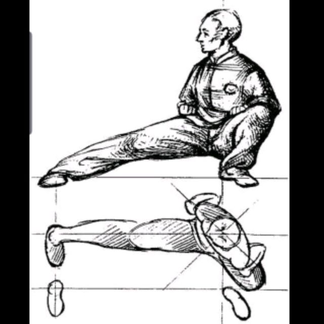 Drop Stance - Fú Hǔ Bù（伏虎步) by Bernadette C. - Exercise How-to - Skimble