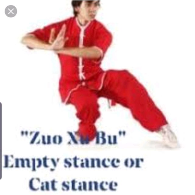Cat Stance - Mao Bu - Xuán Jī Bù（玄機步) by Bernadette C. - Exercise How ...
