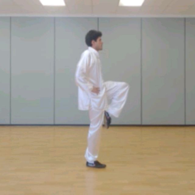 Crane Stance – Jin Ji Du（金雞獨立) by Bernadette C. - Exercise How-to - Skimble