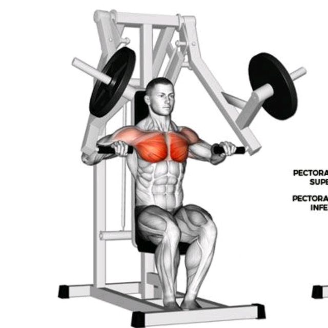 Press Pecho Máquina Agarre Cerrado by Javier C. - Ejercicio Cómo ...