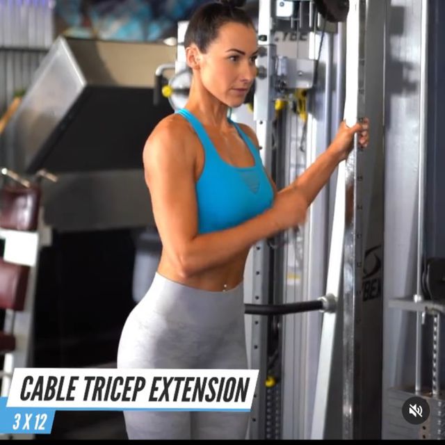 Cable Single Arm Pull Down by Miss M. - Exercise How-to - Skimble