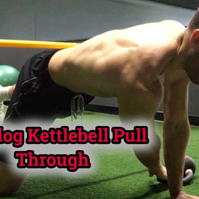 Bird Dog Pull Throughs by Melissa 🐝 - Exercise How-to - Skimble
