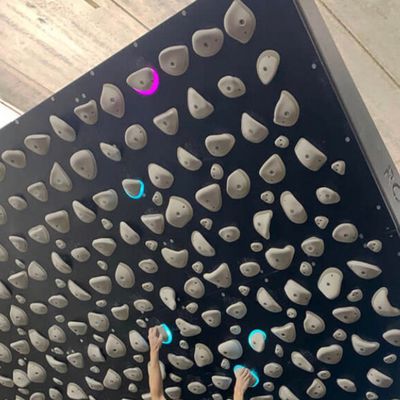 Campus Ladder by Joana Koiller - Exercise How-to - Skimble