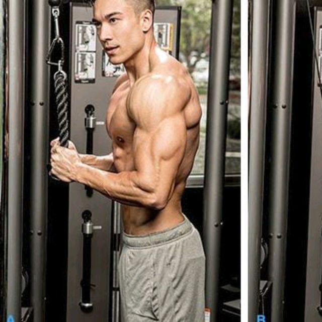 Cable Triceps Extensions with rope by Litabel L. - Exercise How-to ...