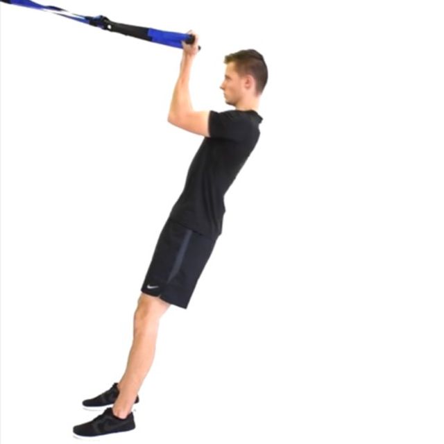 TRX Bicep Curls by Chris Donald - Exercise How-to - Skimble