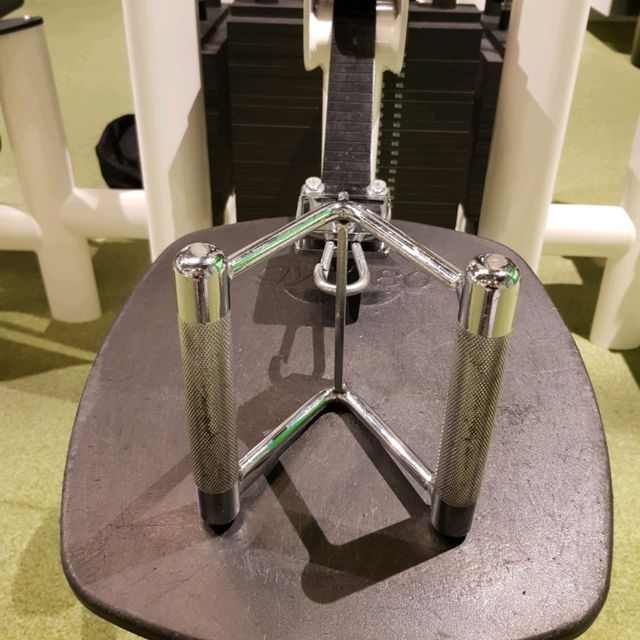 Double-row bar pulls (V-bar) by Anu K. - Exercise How-to - Skimble