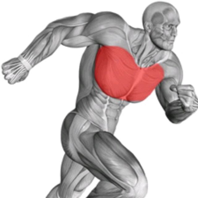 Chest press on machine by Anu K. - Exercise How-to - Skimble