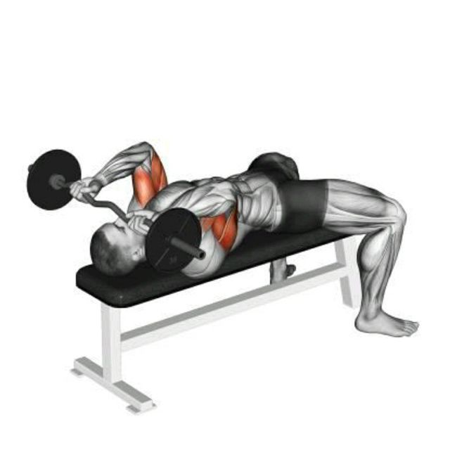 Barbell Skullcrusher