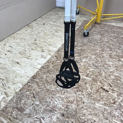 Side Bridge Twist by Robert Clermont - Exercise How-to - Skimble