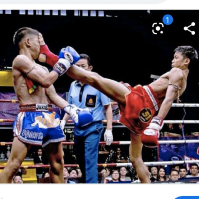 Slapping Push Kick – Teep Top by Bernadette C. - Exercise How-to - Skimble