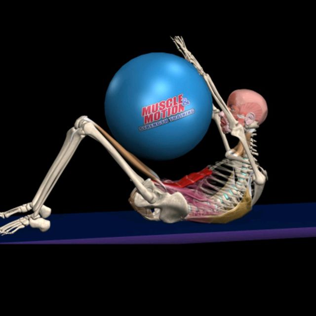 Twisting (ball) by Tanya P - Exercise How-to - Skimble