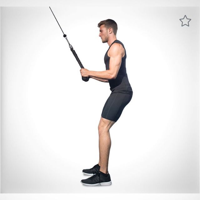 Cable Triceps Pull Down by Lisa S. - Exercise How-to - Skimble