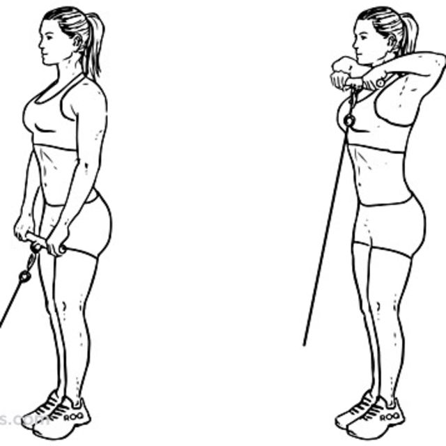 Cable Upright Row by Lisa S. - Exercise How-to - Skimble