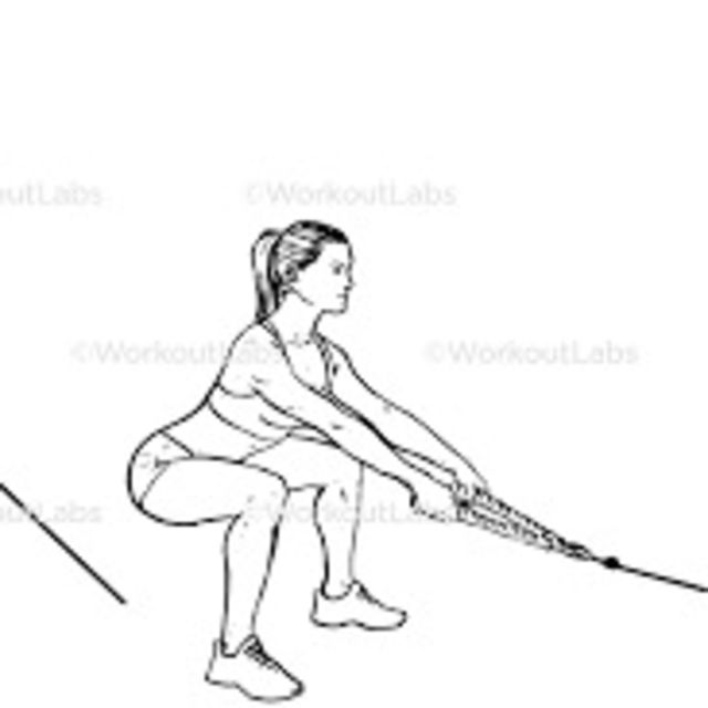Squat And Row by Lisa S. - Exercise How-to - Skimble