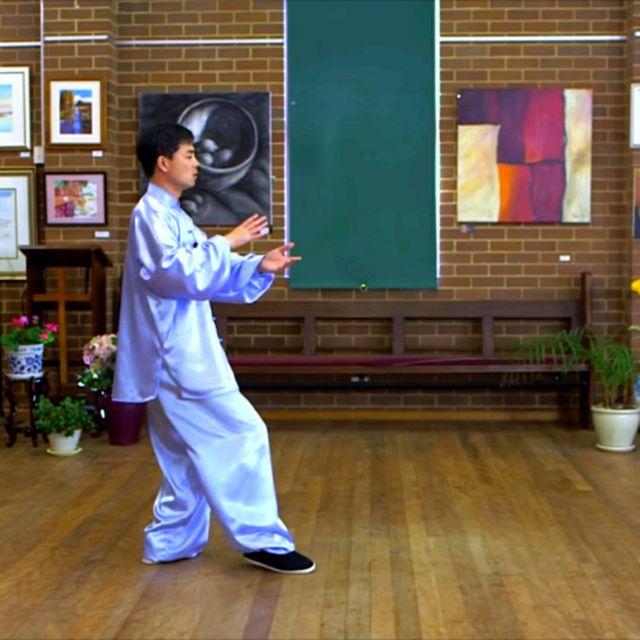 Step Back and Whirl Hands (Repulse the Monkey) - Form 6 by Bernadette C ...