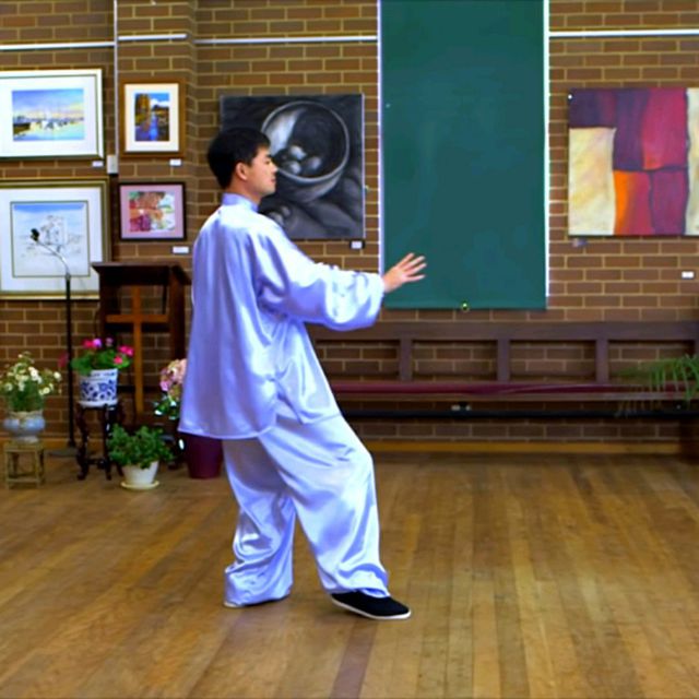 Step Back and Whirl Hands (Repulse the Monkey) - Form 6 by Bernadette C ...