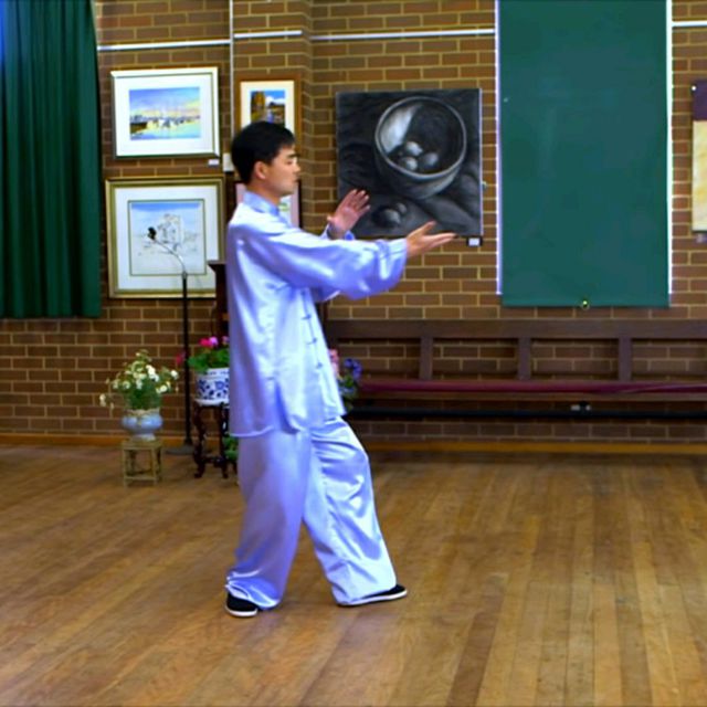 Step Back and Whirl Hands (Repulse the Monkey) - Form 6 by Bernadette C ...