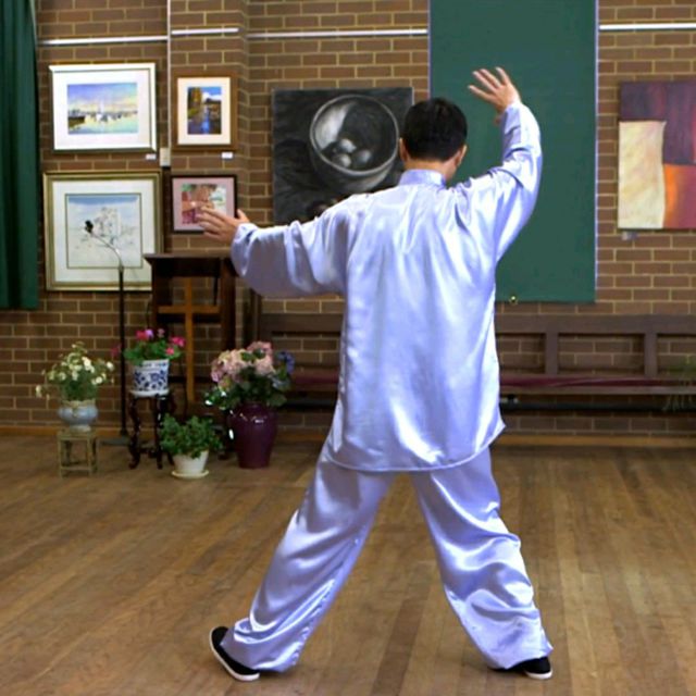 Turn Body, Deflect, Parry and Punch - Form 21 by Bernadette C ...