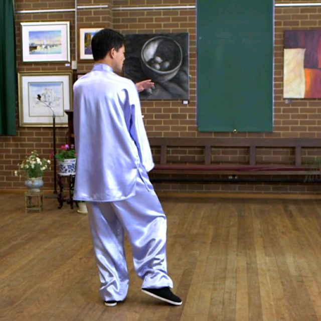 Turn Body, Deflect, Parry and Punch - Form 21 by Bernadette C ...