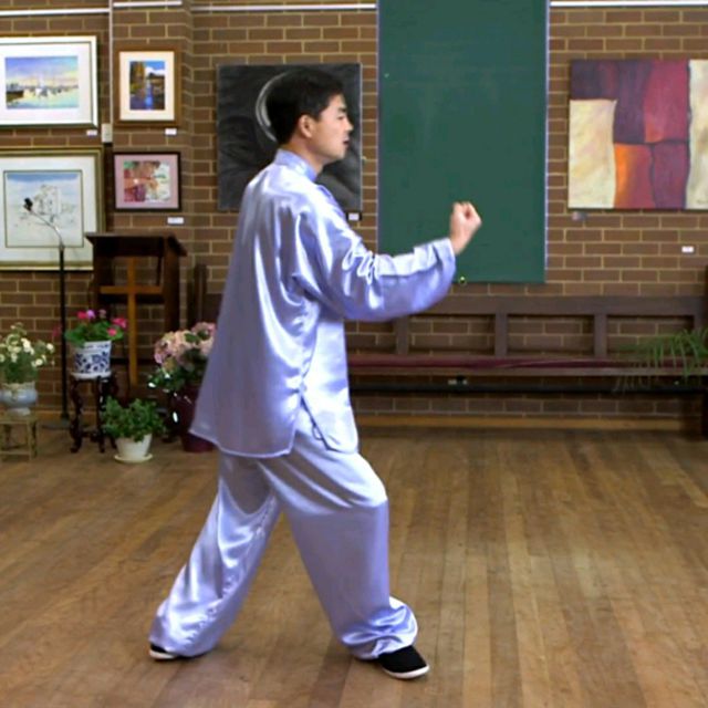 Turn Body, Deflect, Parry and Punch - Form 21 by Bernadette C ...