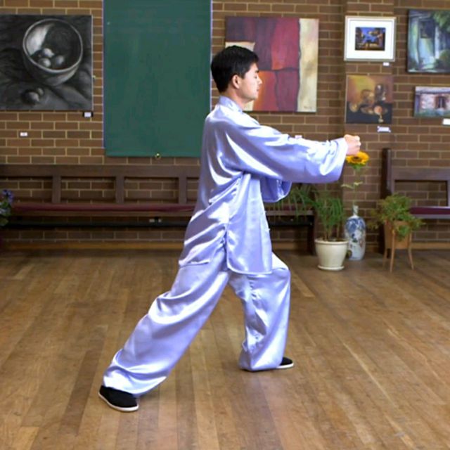 Turn Body, Deflect, Parry and Punch - Form 21 by Bernadette C ...