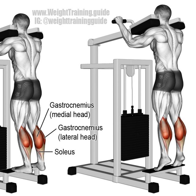Machine Calf Raises by Gabrielle M. - Exercise How-to - Skimble