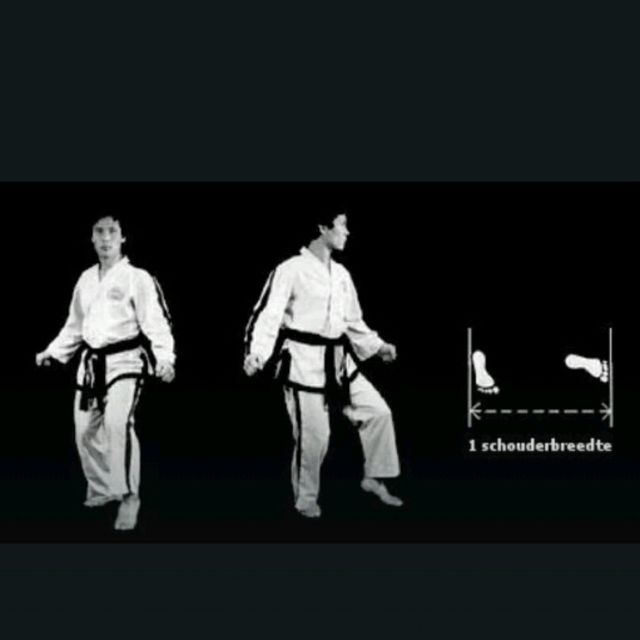 Tiger Stance - Left • Beom Seogi by Bernadette C. - Exercise How-to ...