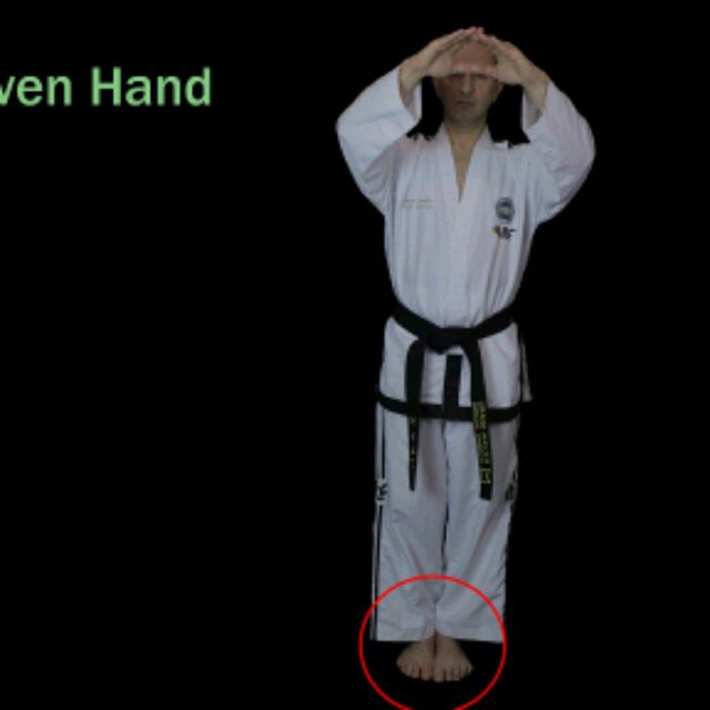 Closed Parallel Stance With Heaven Hand • Narani So Hanulson Seogi by ...