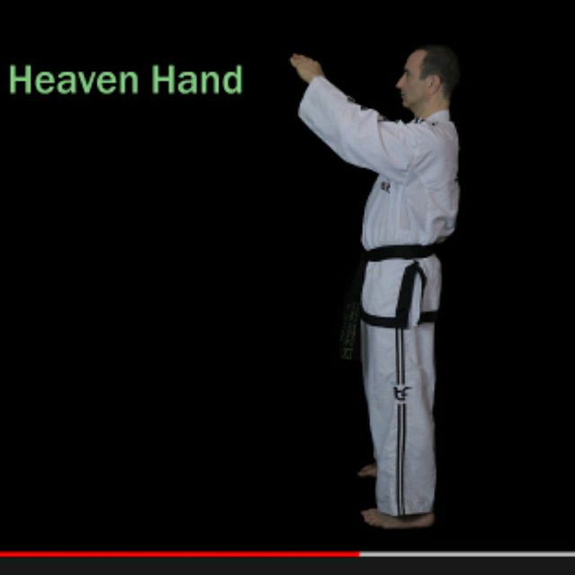 Parallel Stance With Heaven Hand • Narani So Hanulson Seogi by ...