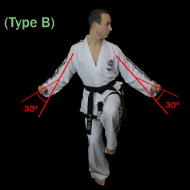 Bending Ready Stance B • Guburyo Joonbi Seogi by Bernadette C ...