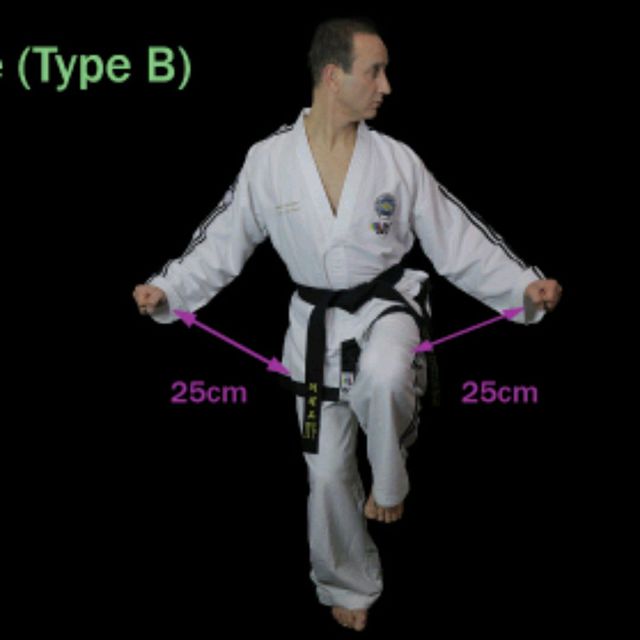 Bending Ready Stance B • Guburyo Joonbi Seogi by Bernadette C ...