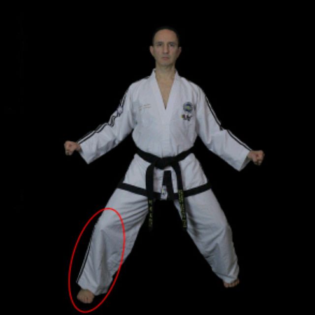 Diagonal Stance • Mo Seogi by Bernadette C. - Exercise How-to - Skimble