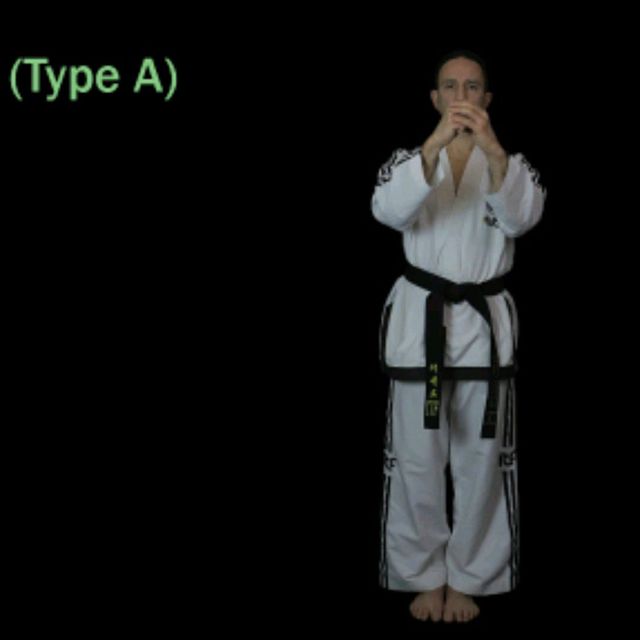 Taekwondo Ready Stance