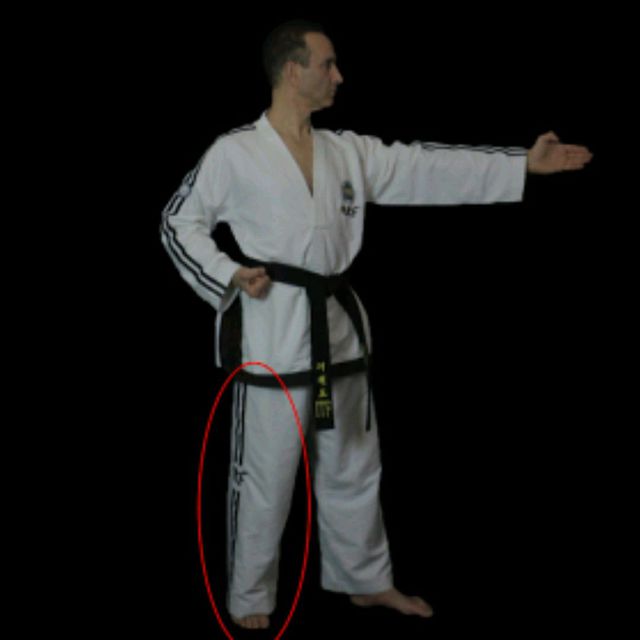 Vertical Stance • Sujik Seogi by Bernadette C. - Exercise How-to - Skimble