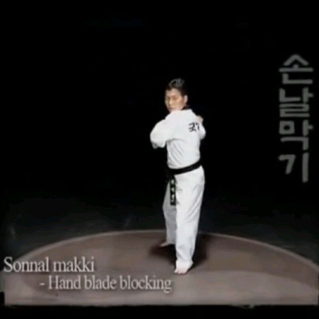Knife Hand Block - Left • Sonnal Makki por Bernadette Cordeau ...