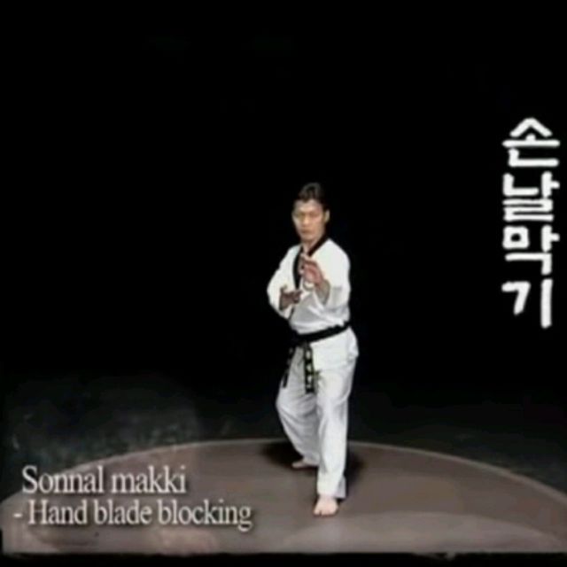 Knife Hand Block - Left • Sonnal Makki by Bernadette C. - Exercise How ...