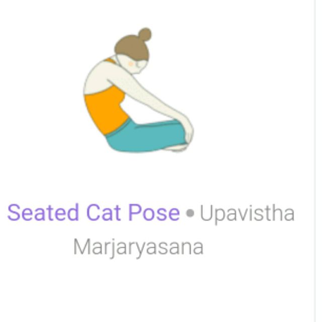 Seated Cat Pose by 𝔻𝕖𝕤𝕖𝕣𝕥 𝔽𝕠𝕩🦊 🌟 - Exercise How-to - Skimble