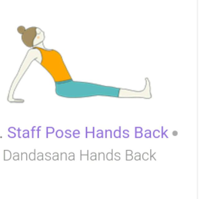 Staff Pose Hands Back by 𝔻𝕖𝕤𝕖𝕣𝕥 𝔽𝕠𝕩🦊 🌟 - Exercise How-to - Skimble