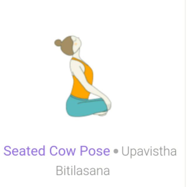 Seated Cow Look Up by 𝔻𝕖𝕤𝕖𝕣𝕥 𝔽𝕠𝕩🦊 🌟 - Exercise How-to - Skimble